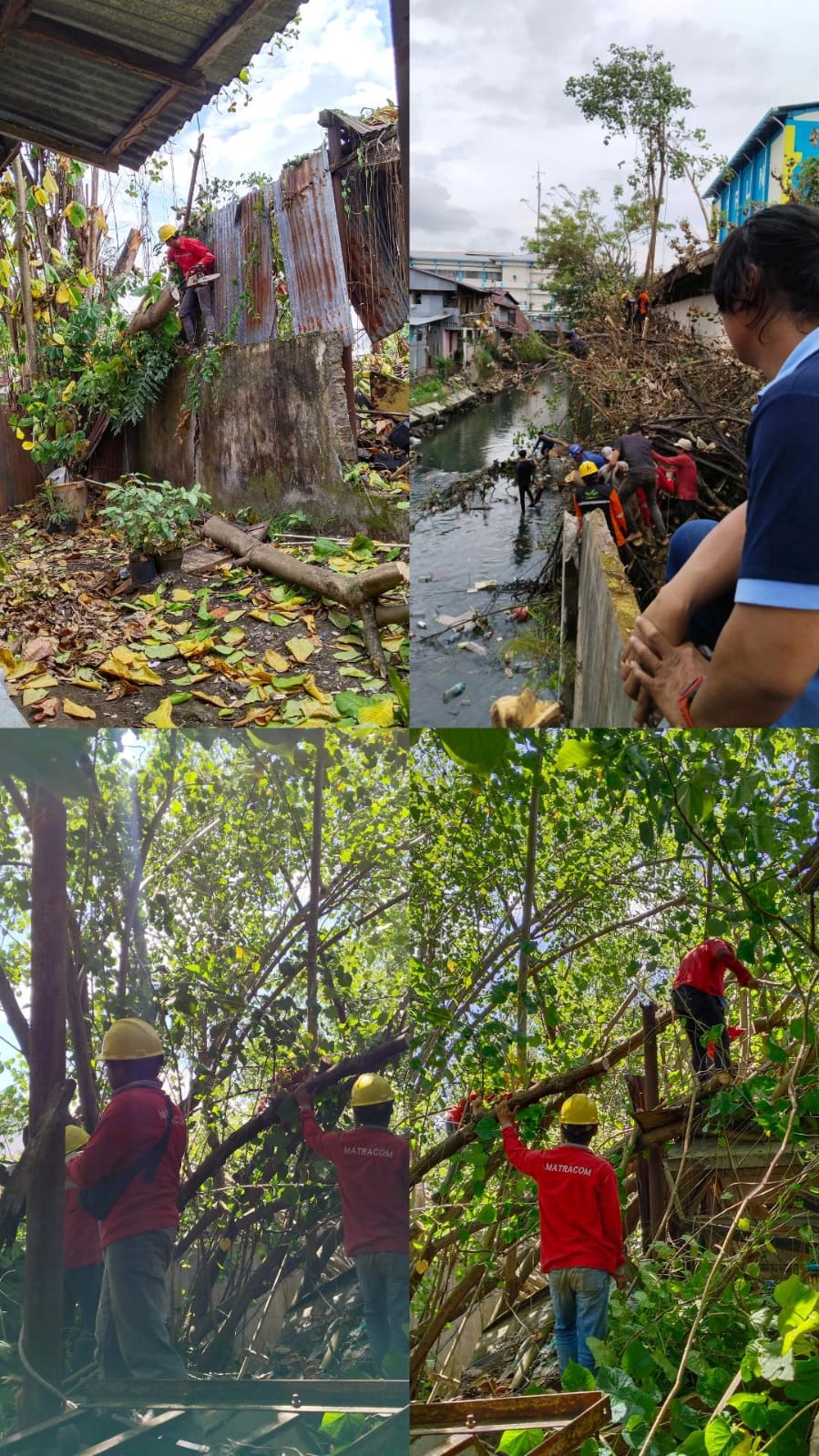 PLN UP3 Manado Gerak Cepat Atasi Pohon Tumbang di Jalur Sungai Sario ...